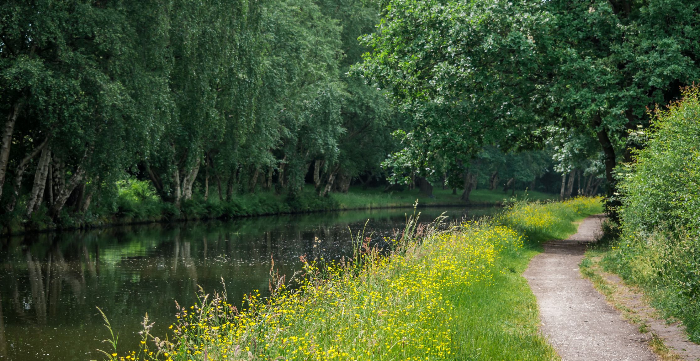 Manchester Canals Trek: Trek challenge to UK