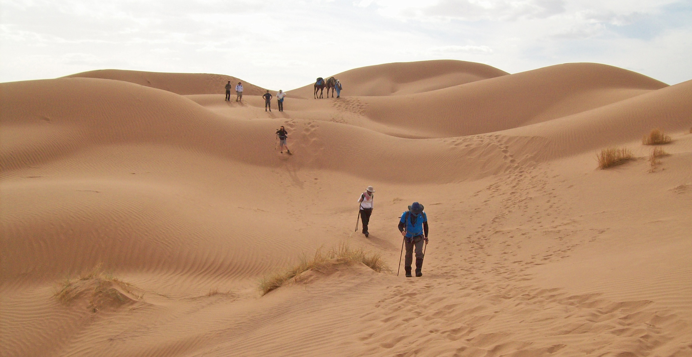 Sahara Desert Trek: Trek challenge to Morocco