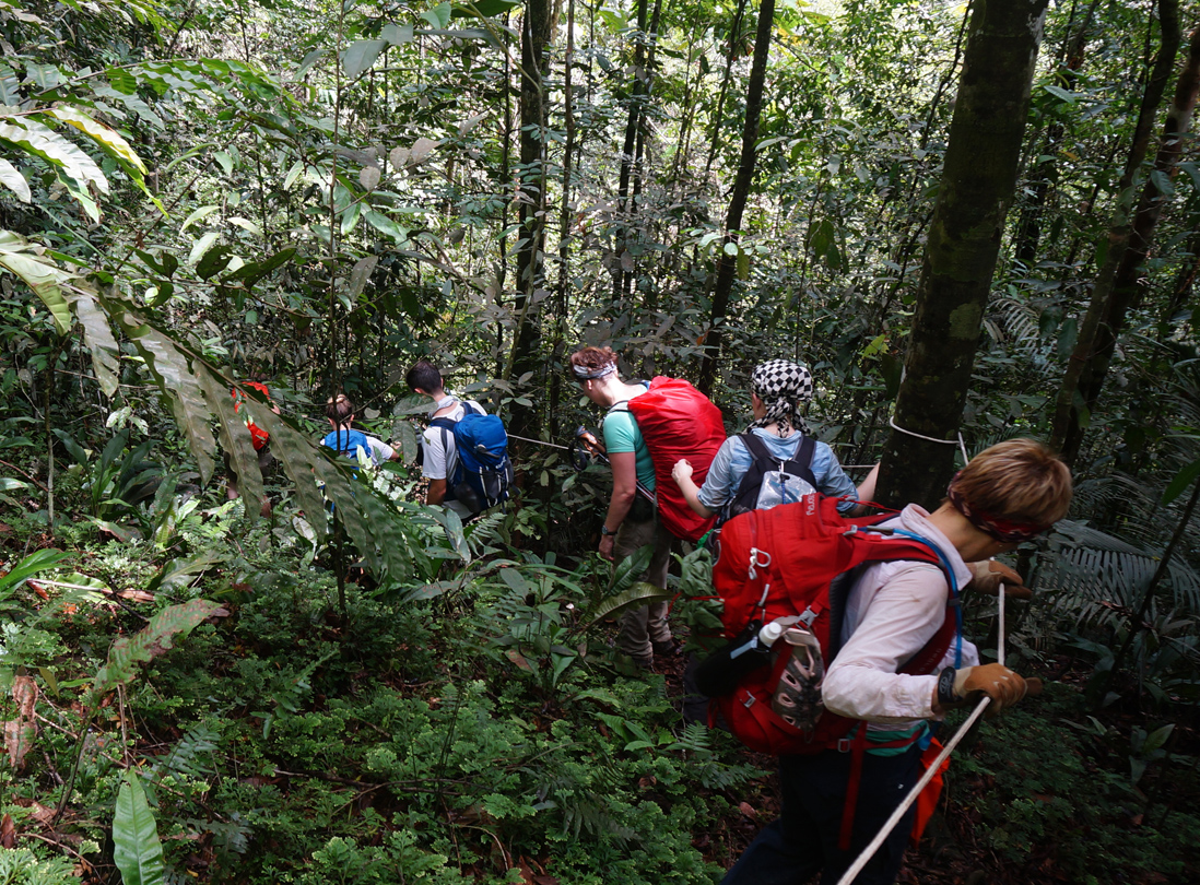 Sumatra Jungle Challenge: Trek challenge to Indonesia