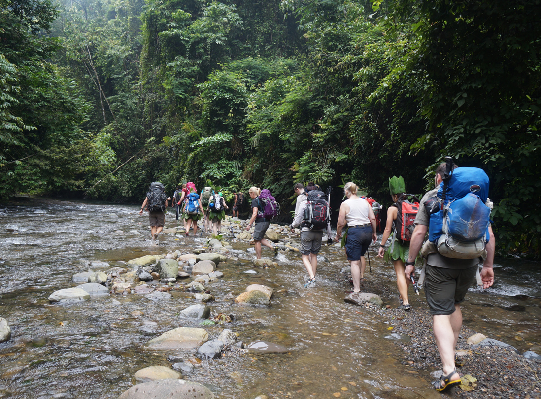 Sumatra Jungle Challenge: Trek challenge to Indonesia