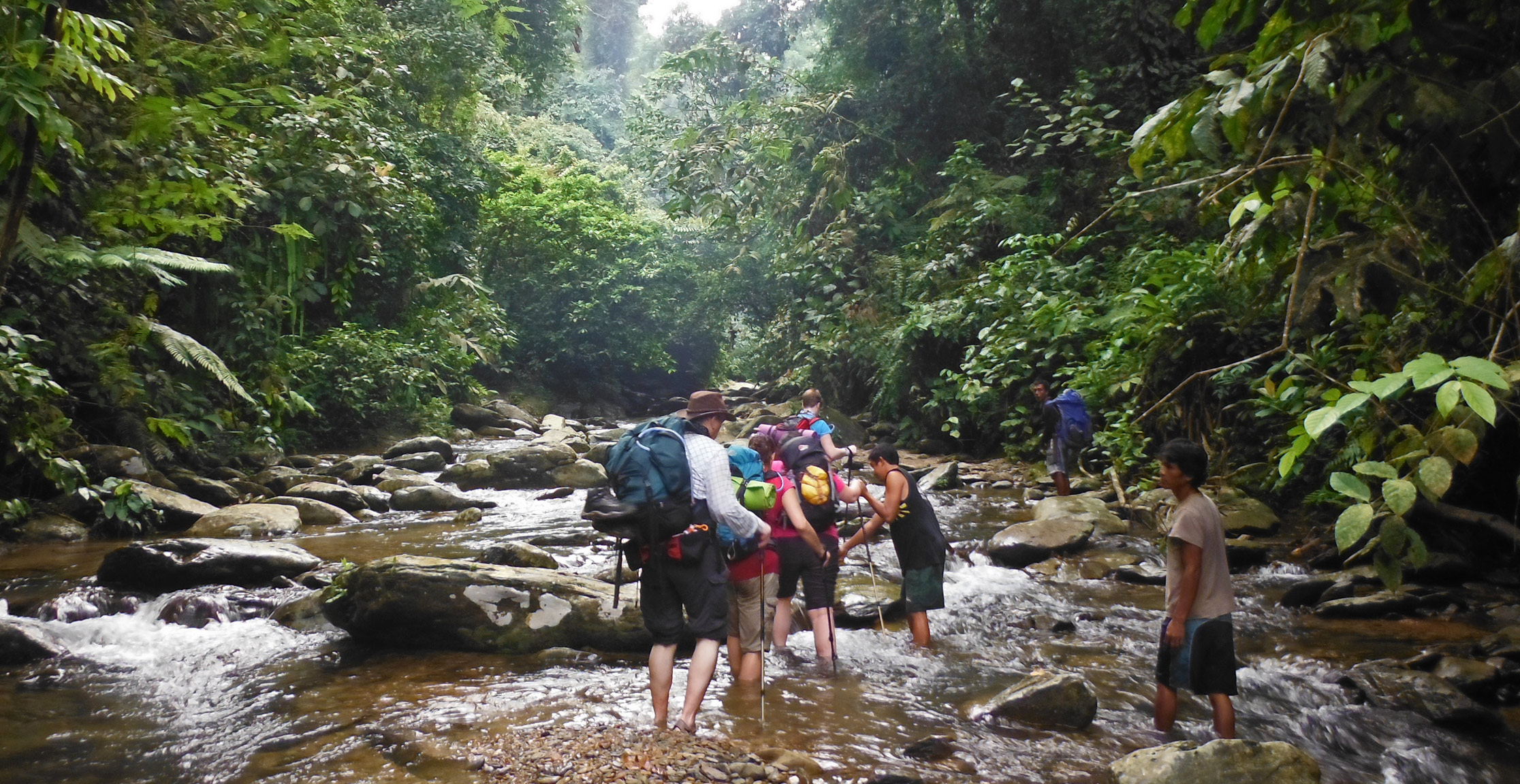Sumatra Jungle Challenge: Trek challenge to Indonesia