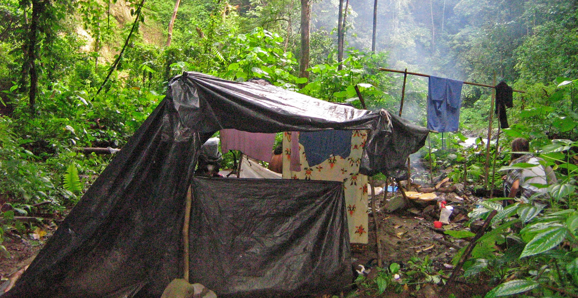 Sumatra Jungle Challenge: Trek challenge to Indonesia