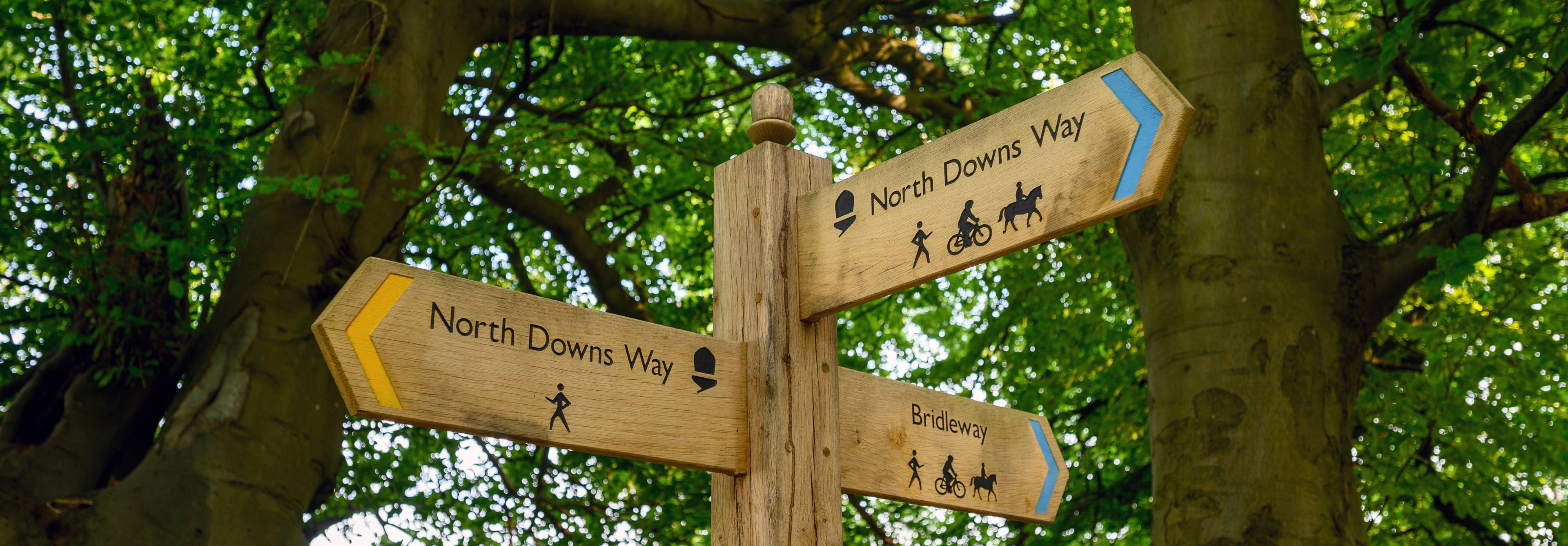 Surrey Three Peaks Challenge: Trek challenge to UK